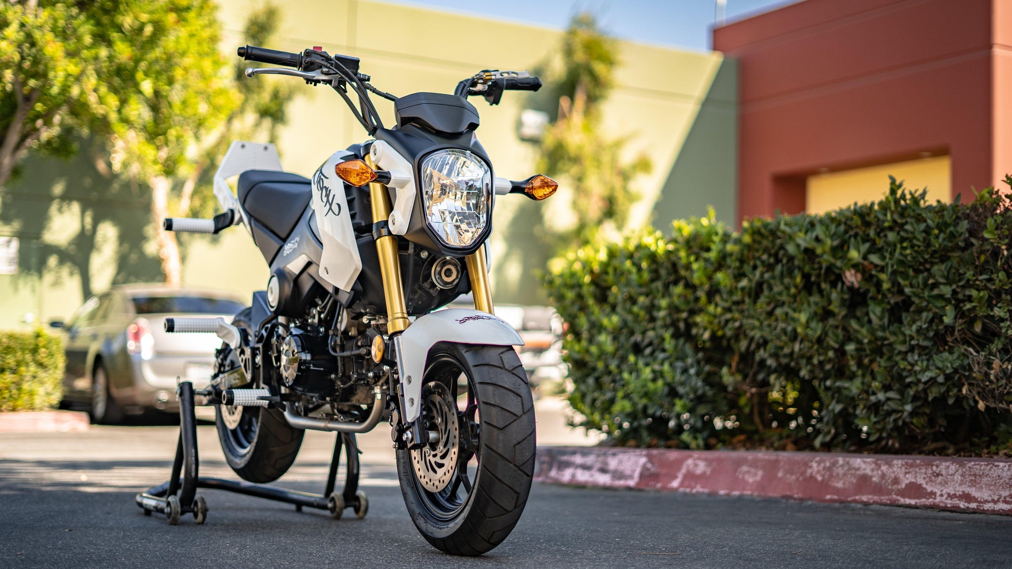2015 Honda Grom Impaktech Stunt Build